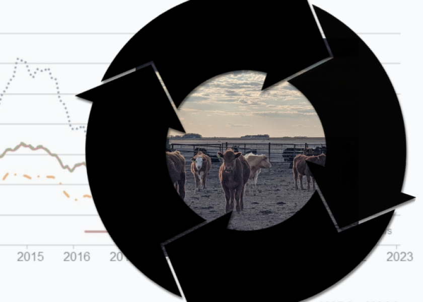 The Cattle Cycle What You Need To Know Today Drovers